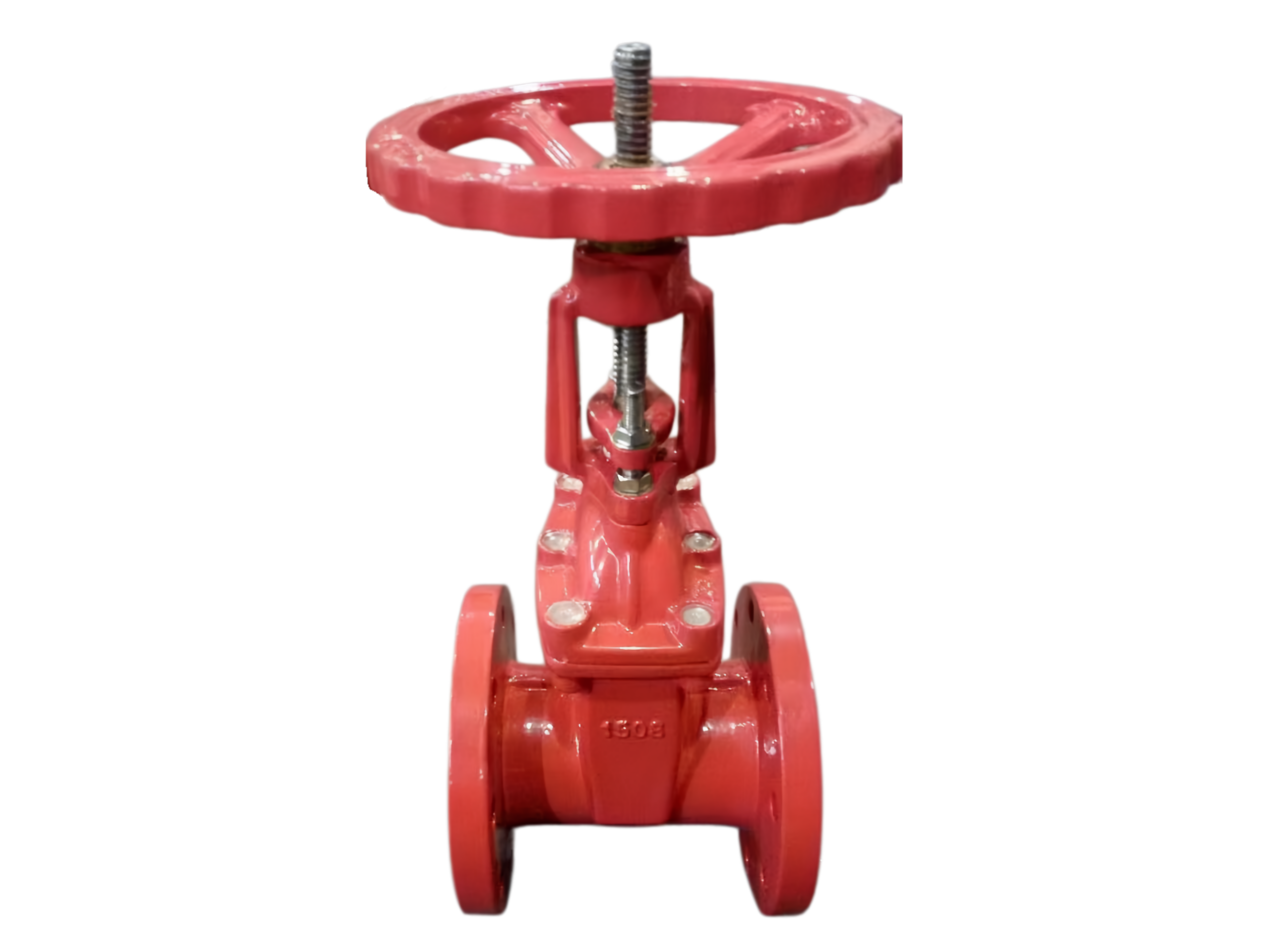 ANSI Resilient Seated Gate Valve - Savvy Valves