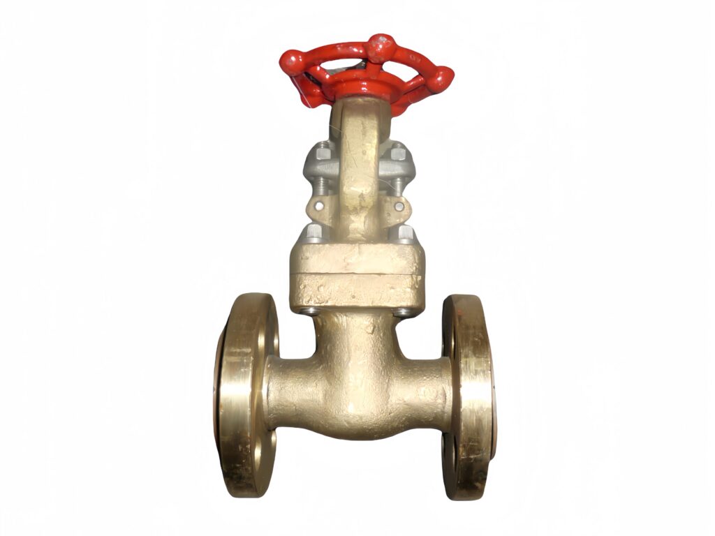 C95500 Al-bronze Gate Valve - Savvy Valves
