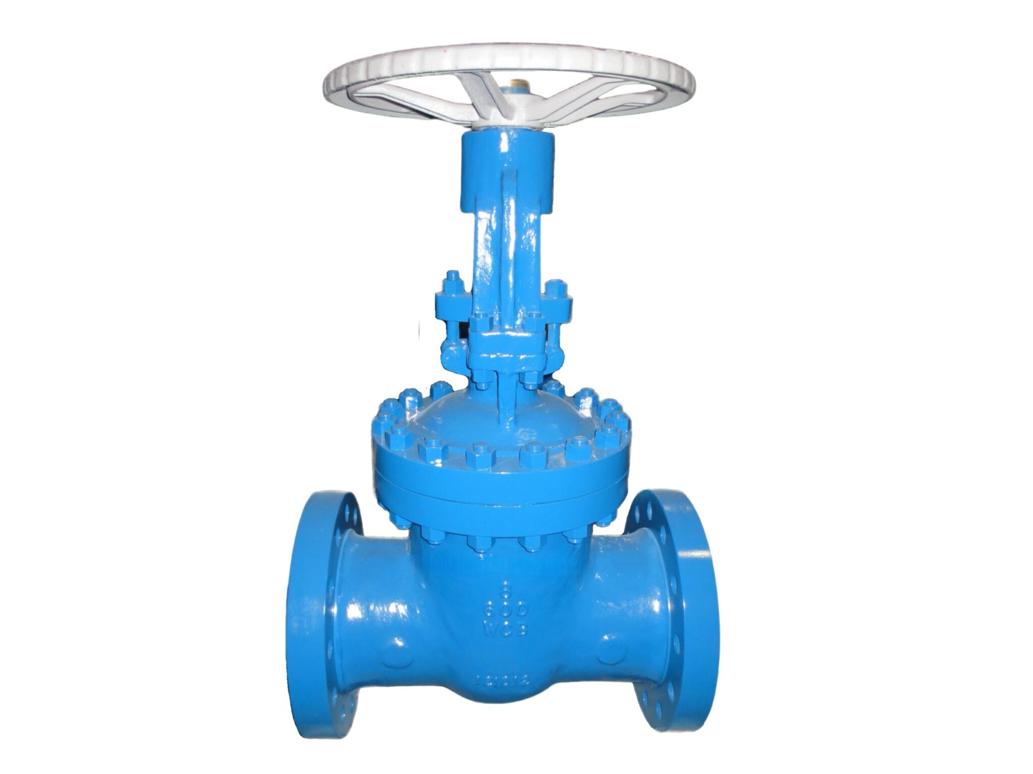 API 6D API 600 Flexible Wedge Gate Valve - Savvy Valves