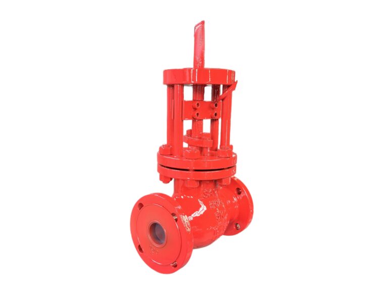 JIS 5K-50A SDNR Globe Valve Ready for Actuators - Savvy Valves
