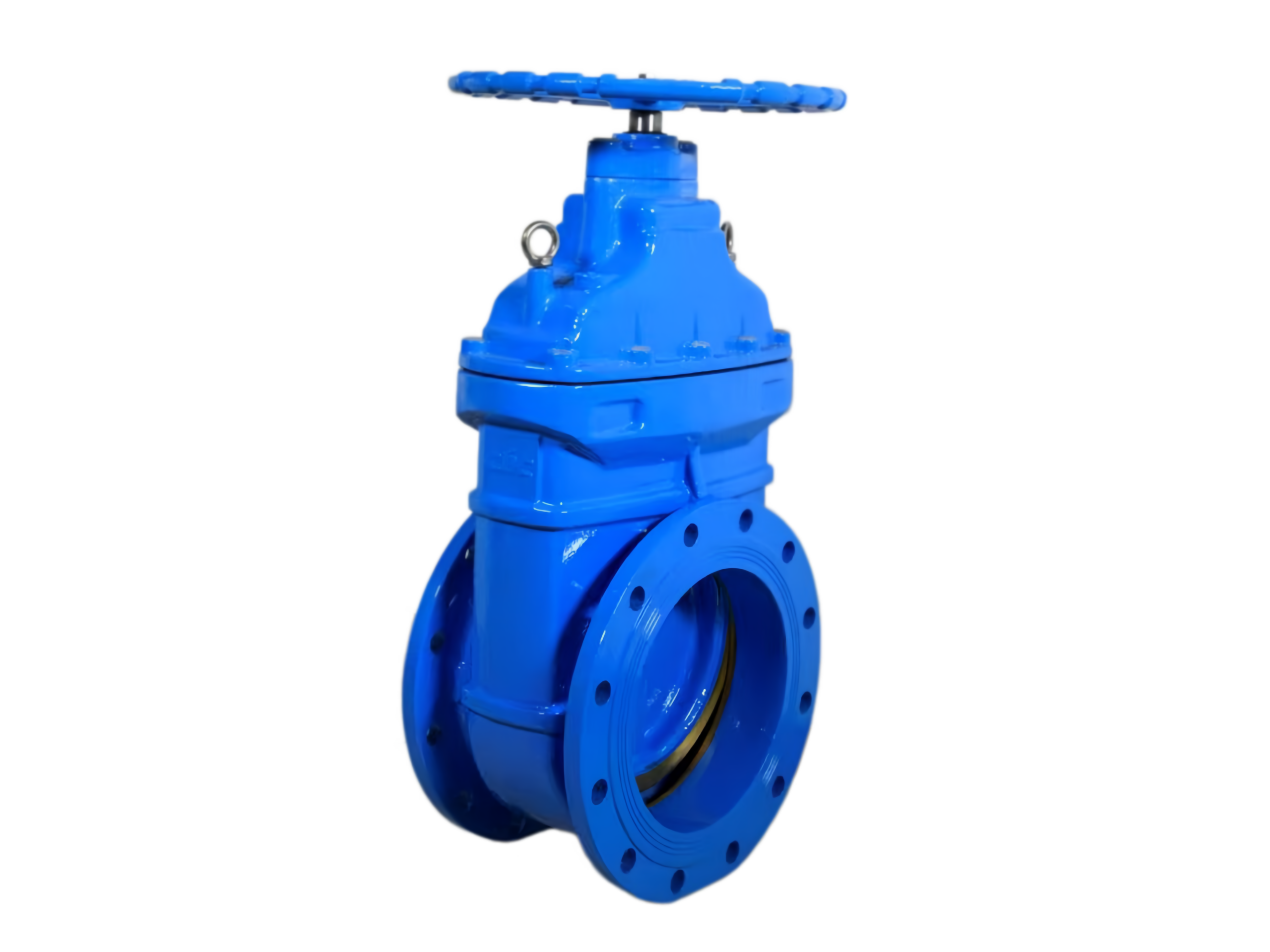 DIN Metal Seated NRS Gate Valve - Savvy Valves