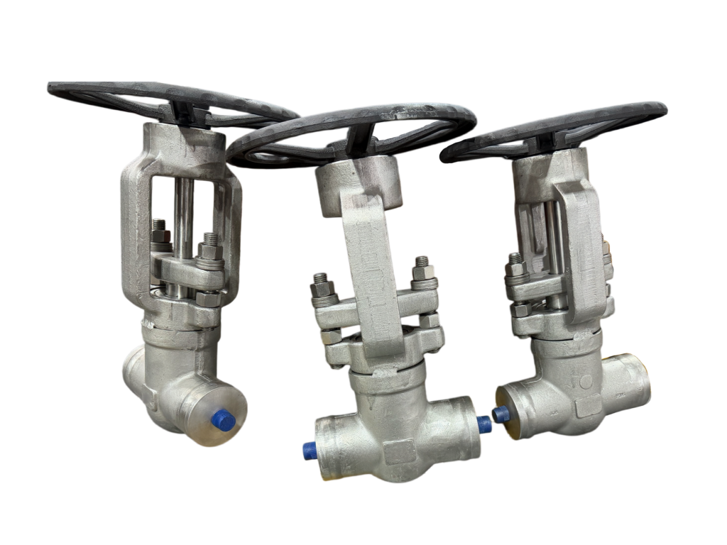 4500LB Closed Die Forged Globe Valve - Savvy Valves