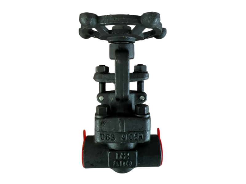 1/2"-800LB Close Die Forged Steel Gate Valve - Savvy Valves